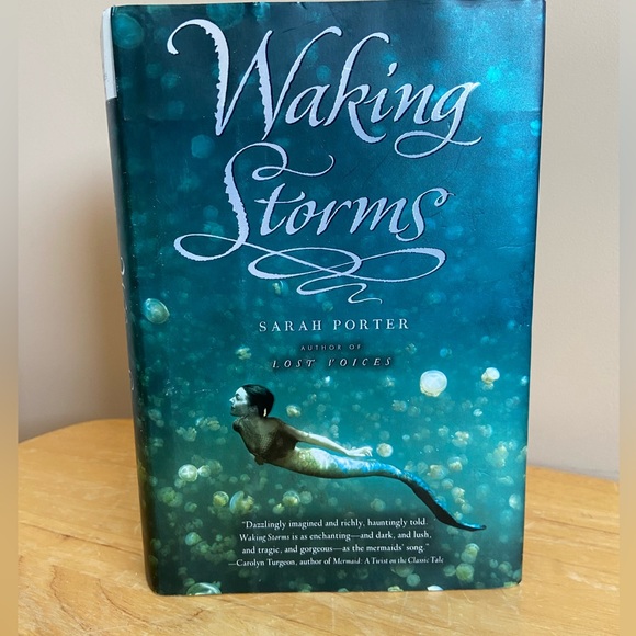 Toys | Waking Storms By Sarah Porter | Poshmark